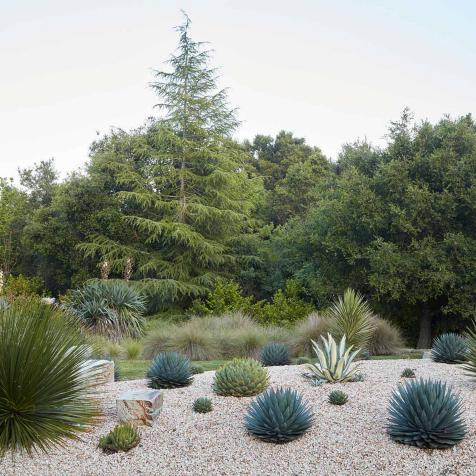 Chris Jacobson | HGTV