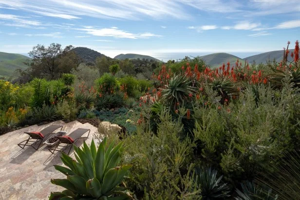 Endless Views for Contemporary California Abode | HGTV