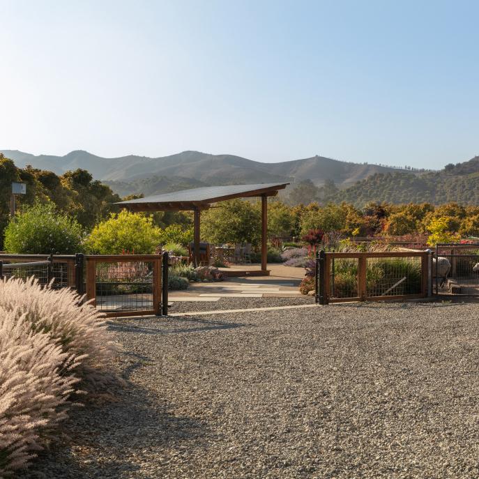 Kiesel Design | HGTV