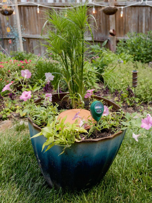 DIY Terra-Cotta Olla Self-Watering System for Gardening | HGTV