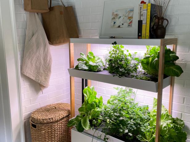 The Best Hydroponic System | Rise Gardens Indoor Hydroponic System ...