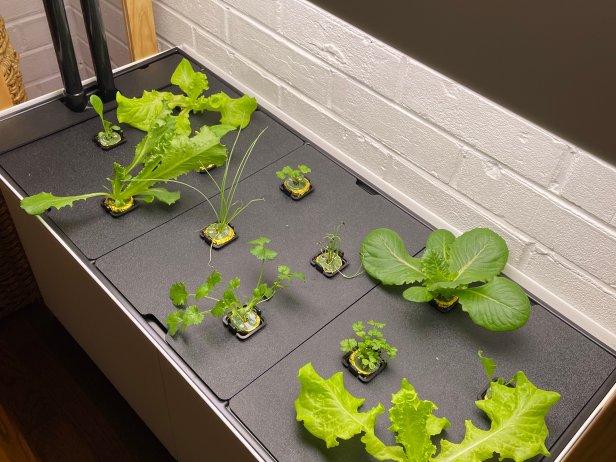 The Best Hydroponic System | Rise Gardens Indoor Hydroponic System ...