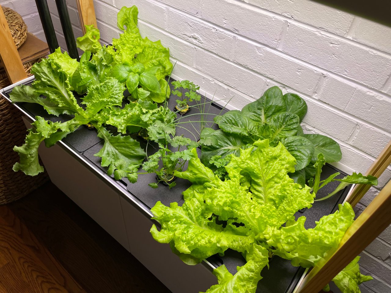 The Best Hydroponic System | Rise Gardens Indoor Hydroponic System ...