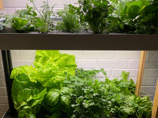The Best Hydroponic System | Rise Gardens Indoor Hydroponic System ...