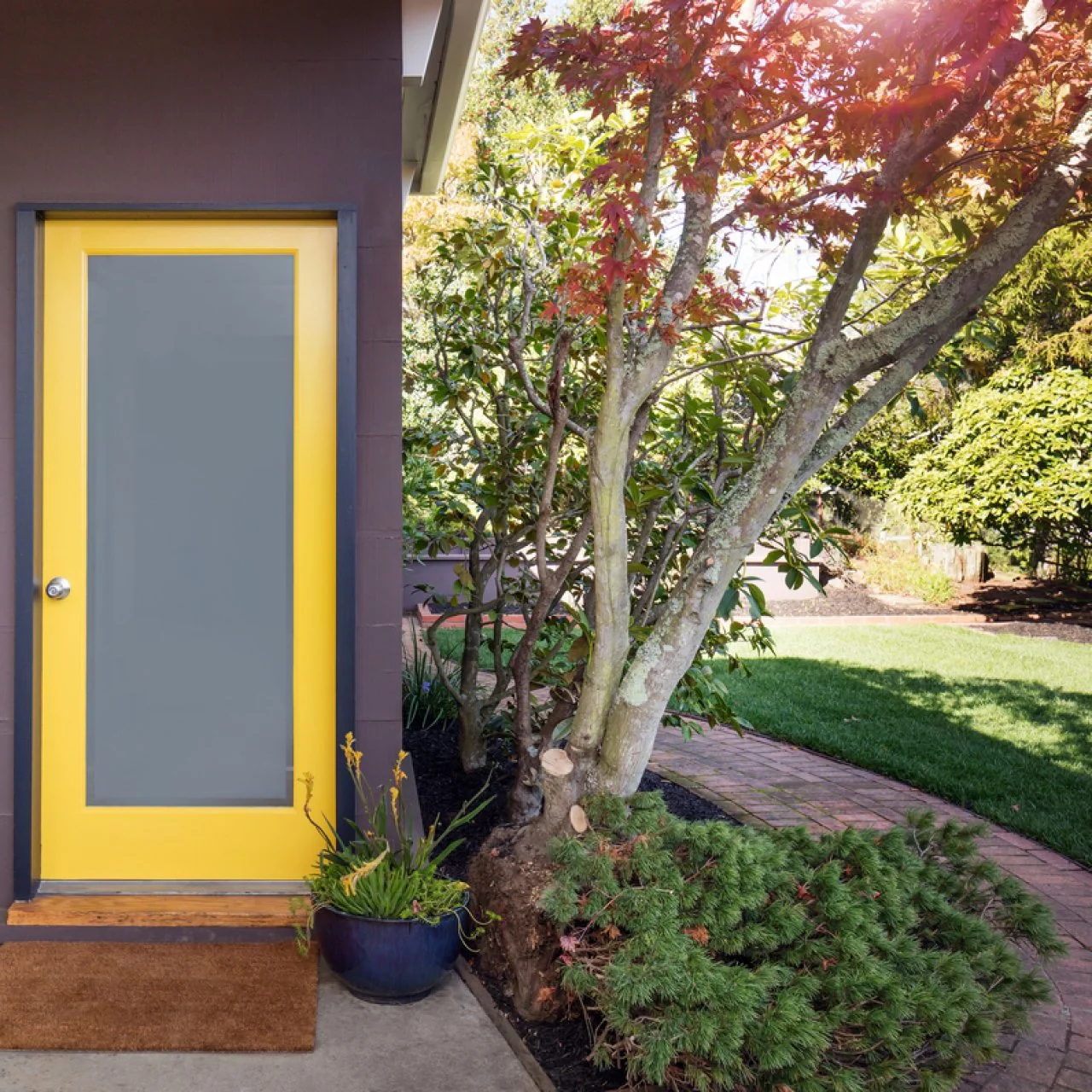 frosted window options