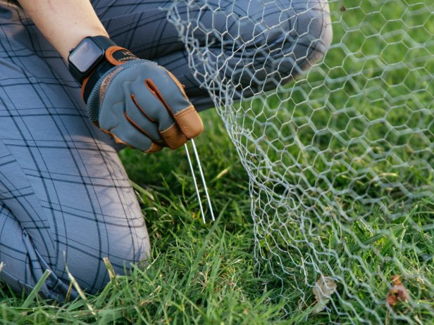 DIY Chicken Wire Ghosts for Halloween | HGTV