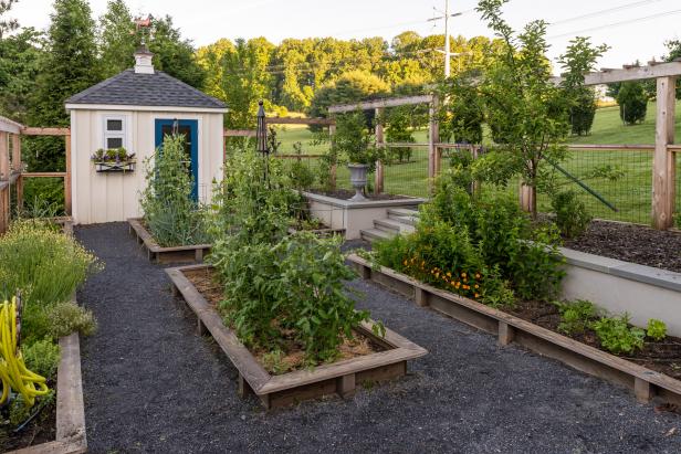 What Is Homesteading? | HGTV