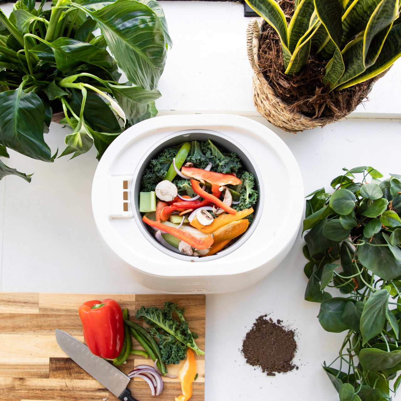 What to Expect From the Lomi Home Composter | HGTV