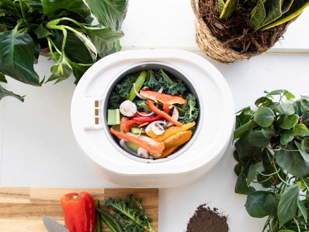 What to Expect From the Lomi Home Composter | HGTV