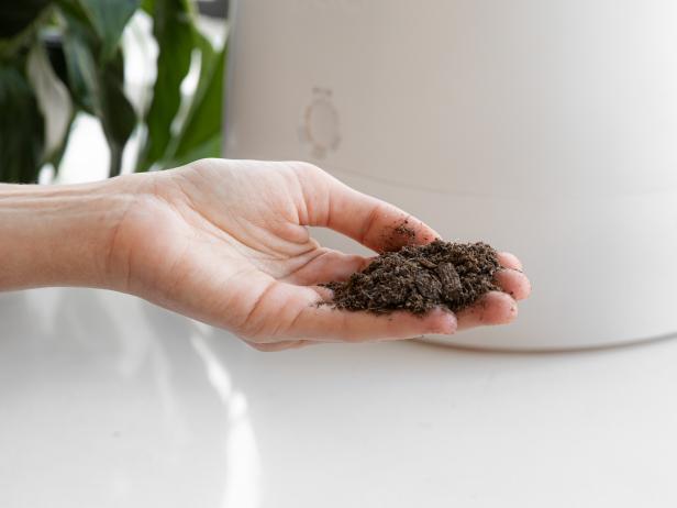 What to Expect From the Lomi Home Composter | HGTV