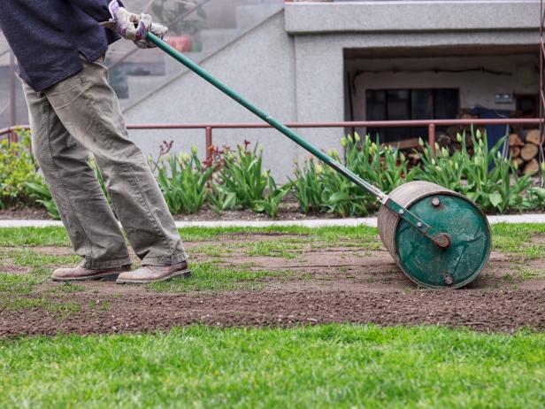 Lawn Seeding in Fall or Spring | How to Grow Grass | HGTV
