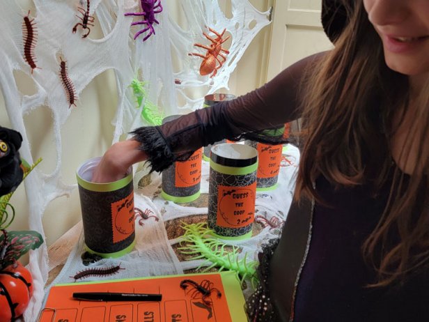 Halloween Party Game Touch-and-Feel for Kids or Adults | HGTV