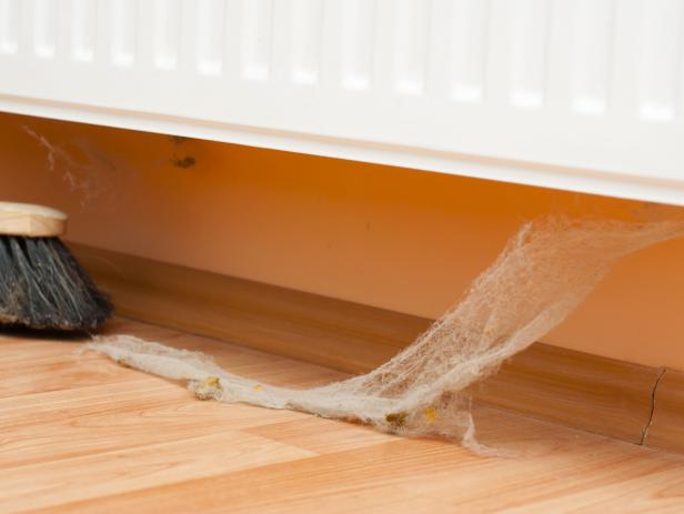 How to Get Rid of Spiders Indoors and Around Your Home | HGTV