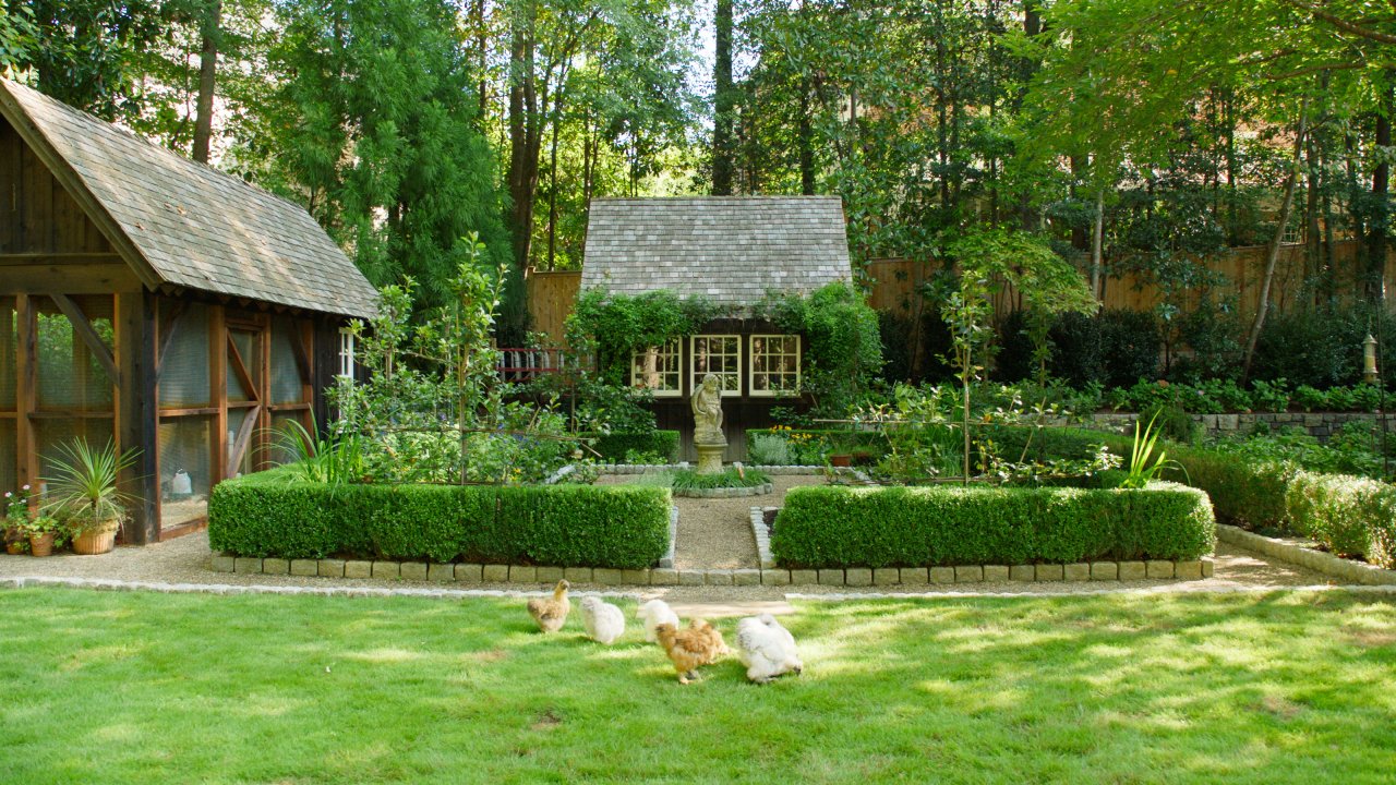 Meet "Homegrown" Star Jamila Norman and Find Out How She Became an ...