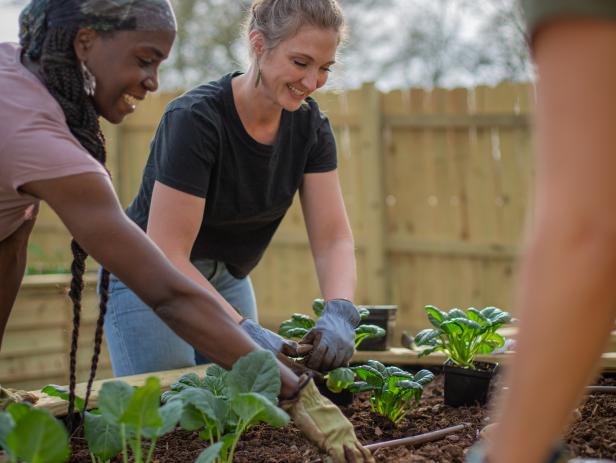 Meet "Homegrown" Star Jamila Norman and Find Out How She Became an ...