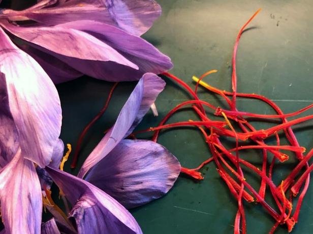 Growing Saffron Flower | Saffron Crocus Guide | HGTV