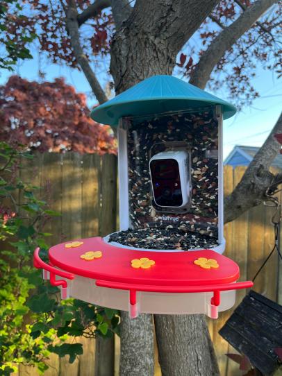 Amazon's Big Spring Sale 2024: The Best Home + Garden Deals | HGTV