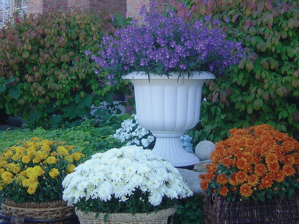 How to Decorate With Mums in Creative Ways | HGTV