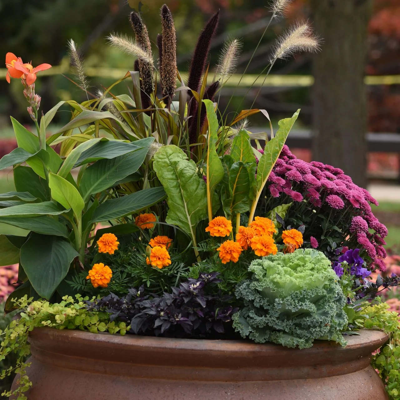 Best Perennials For Fall Planting