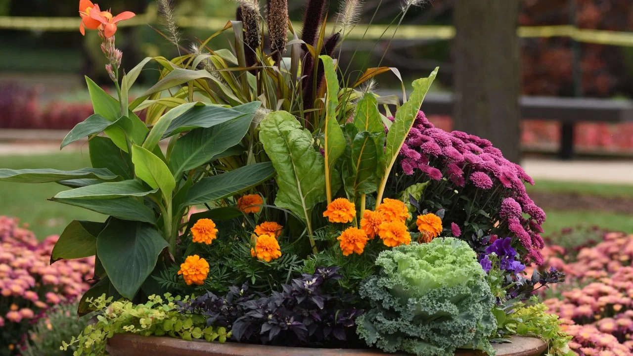 different potted flowers