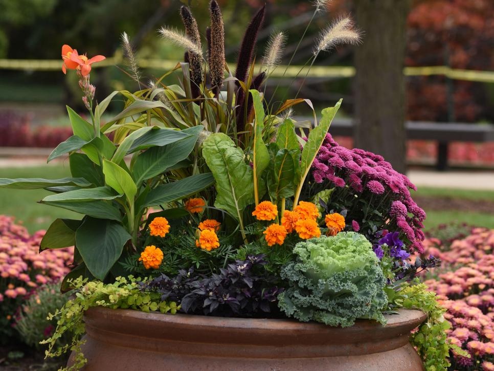 How to Decorate With Mums in Creative Ways | HGTV