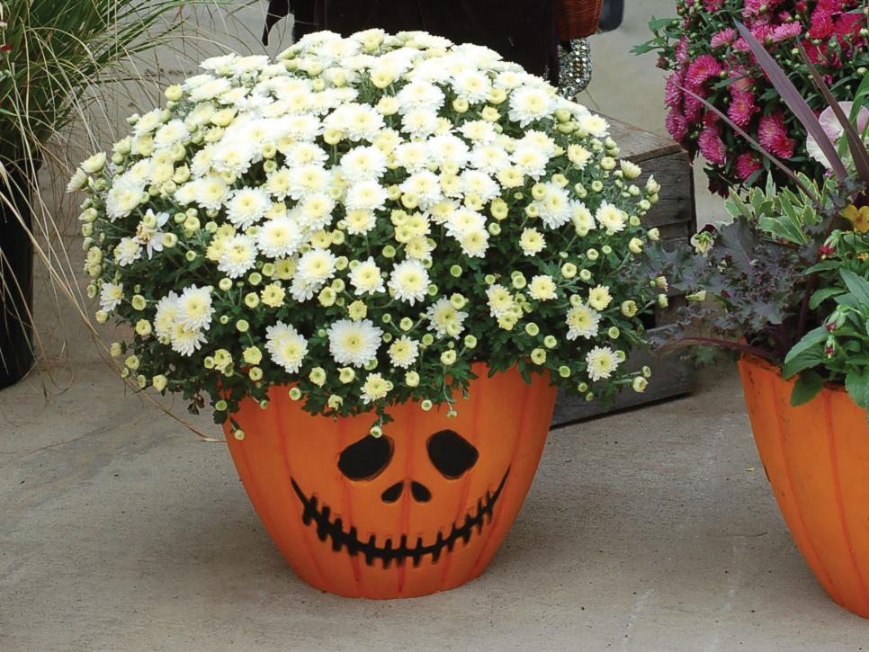 How to Decorate With Mums in Creative Ways | HGTV