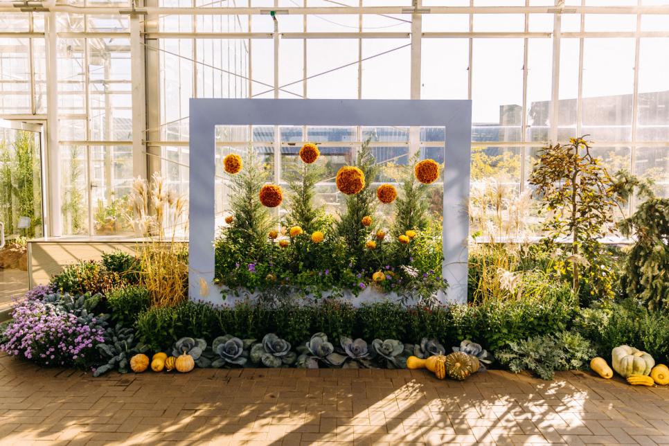 How to Decorate With Mums in Creative Ways | HGTV