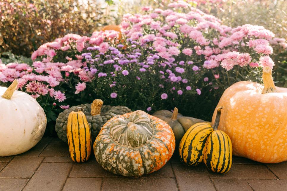 How to Decorate With Mums in Creative Ways | HGTV