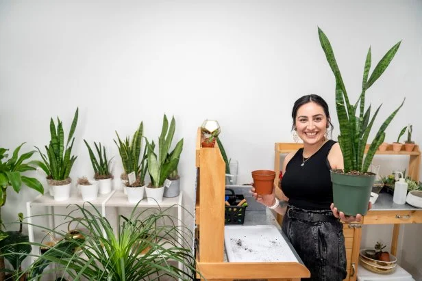 fig tree design studio