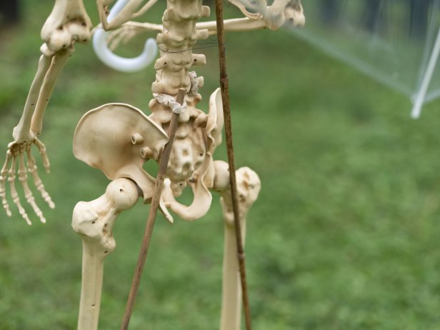 Funny Skeleton Poses For Halloween Decorating | Ideas for Posable and ...
