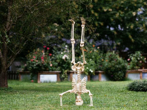 Funny Skeleton Poses For Halloween Decorating | Ideas for Posable and ...