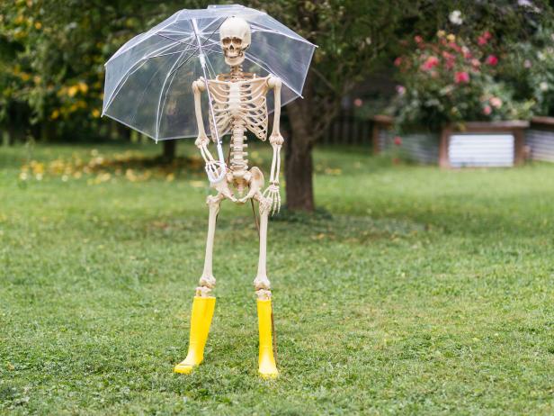 Funny Skeleton Poses For Halloween Decorating | Ideas for Posable and ...