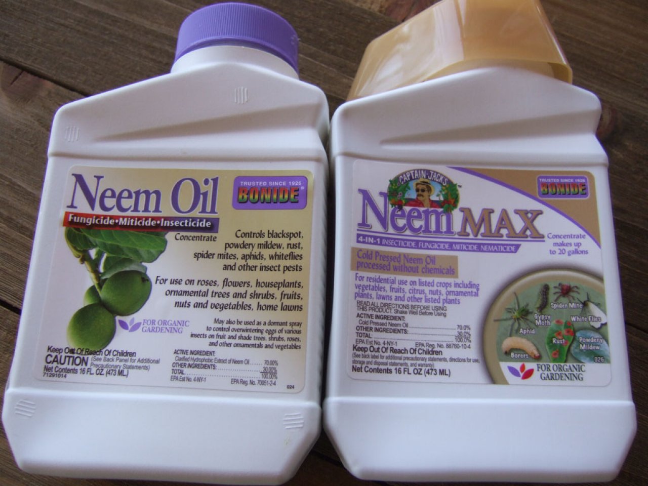 How to Use Neem Oil on Plants | HGTV