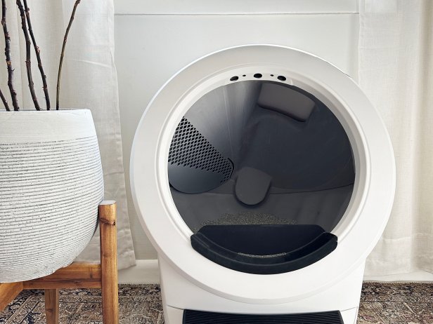 Litter Robot Review 2024 | Why I Love the Automated Litter Box by ...