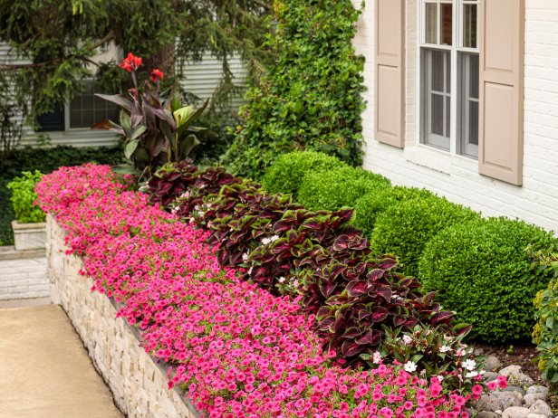 Colorful Outdoor Decorating Ideas for Your Yard | HGTV