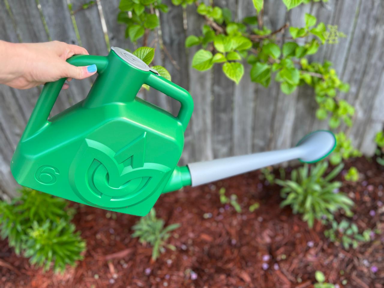 8 Best Watering Cans 2024 Reviewed | HGTV