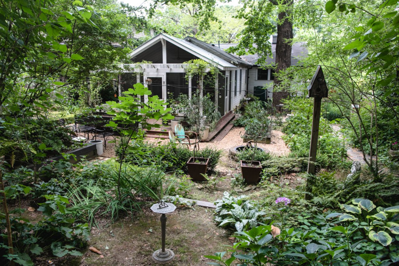 How to Rewild a Garden | HGTV