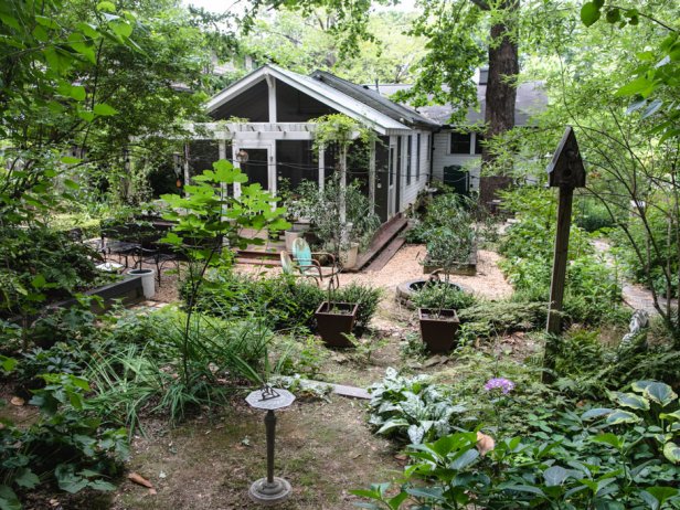 How to Rewild a Garden | HGTV