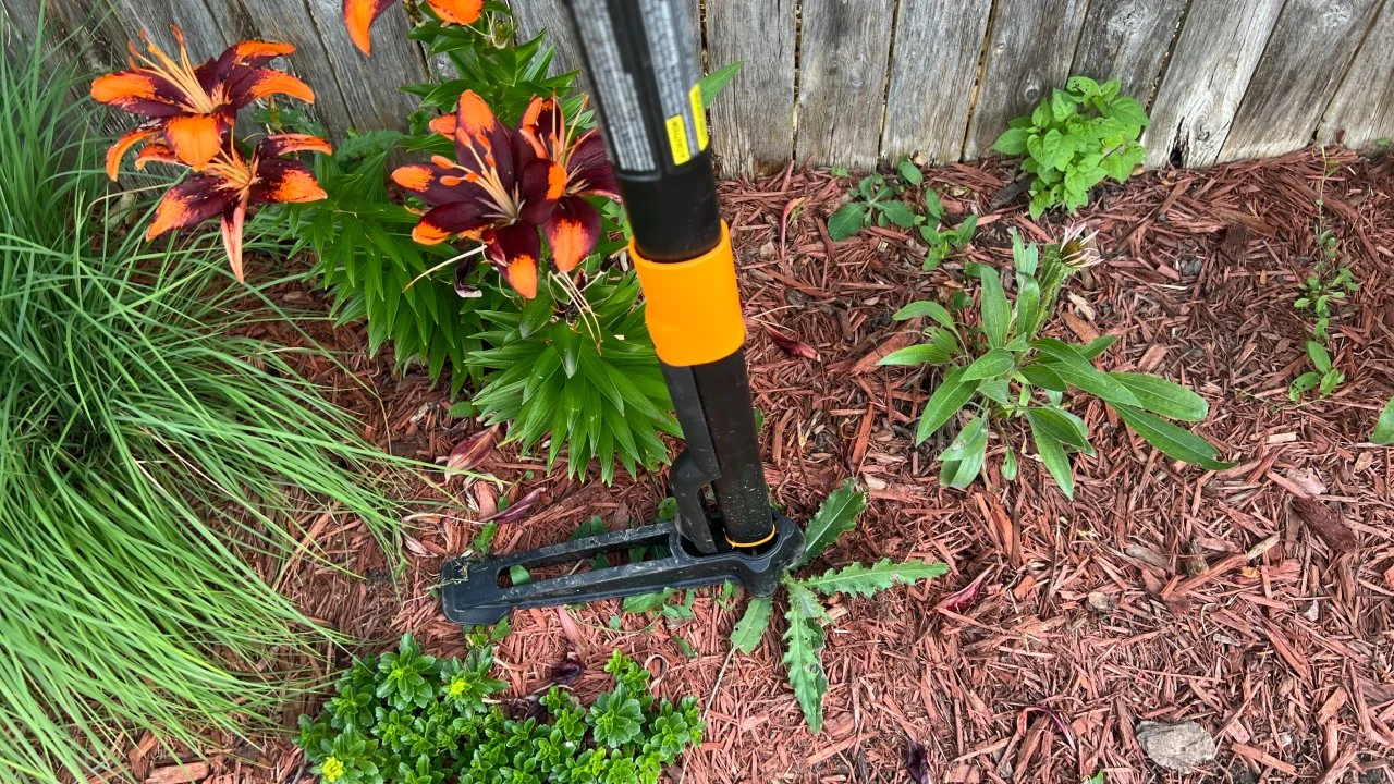 8 Best Weeding Tools 2025 Reviewed HGTV