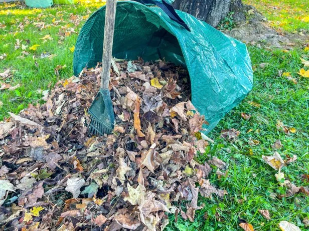 6 Best Lawn and Leaf Yard Bags 2026 Reviewed | HGTV