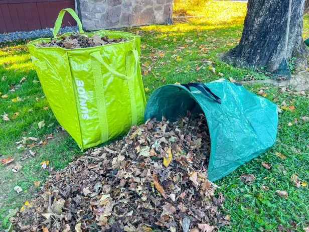 6 Best Lawn and Leaf Yard Bags 2026 Reviewed | HGTV