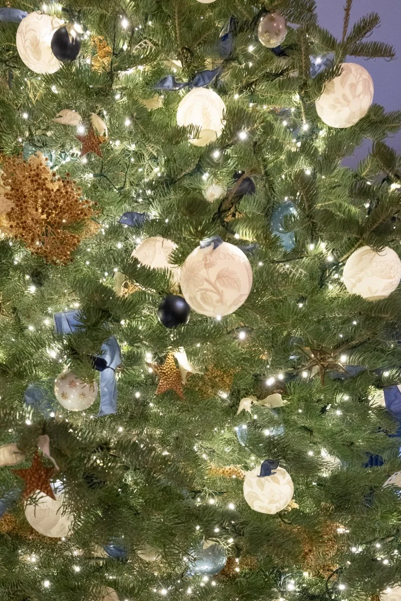 Tour the 2025 White House Christmas Decor With HGTV | HGTV