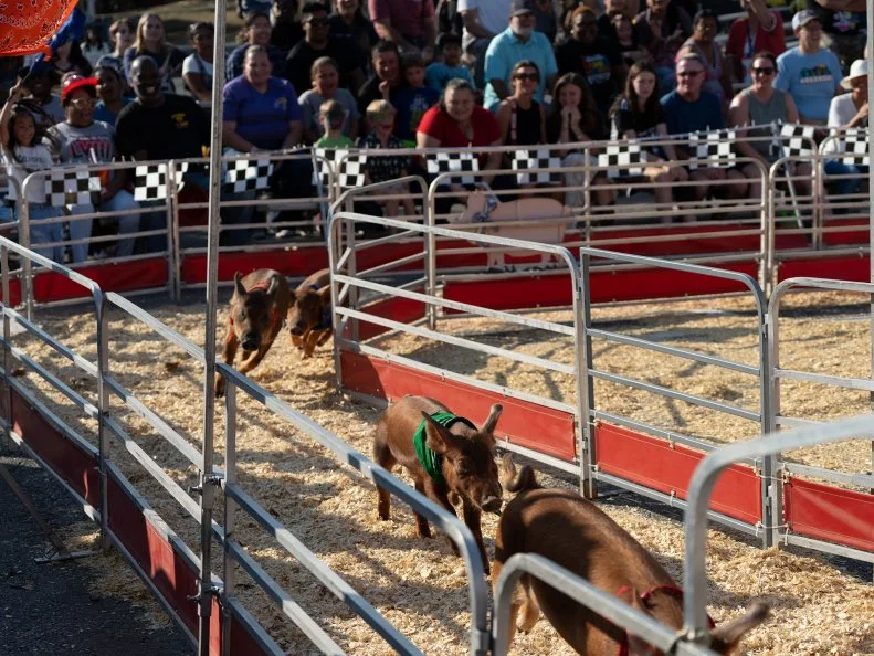 Fun, Don’t-Miss Things To Do at the Fair in Every State | HGTV