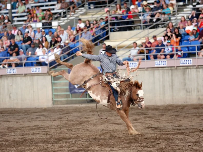 Fun, Don’t-Miss Things To Do at the Fair in Every State | HGTV