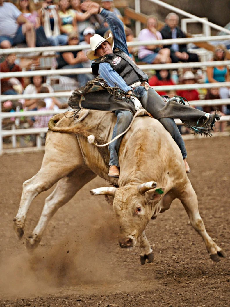 Fun, Don’t-Miss Things To Do at the Fair in Every State | HGTV