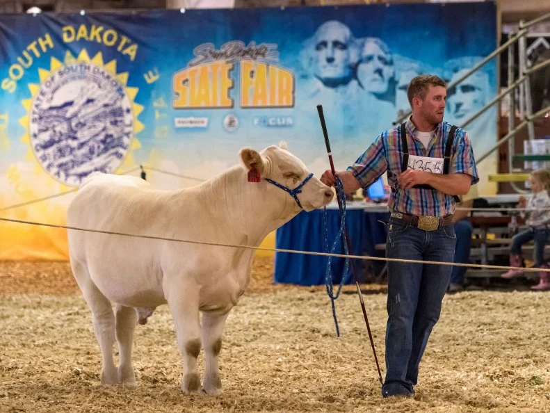 Fun, Don’t-Miss Things To Do at the Fair in Every State | HGTV