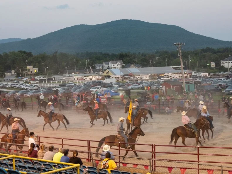 Fun, Don’t-Miss Things To Do at the Fair in Every State | HGTV