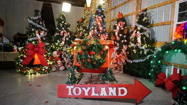 See the Craziest Collections From 'Hoarding for the Holidays' | HGTV