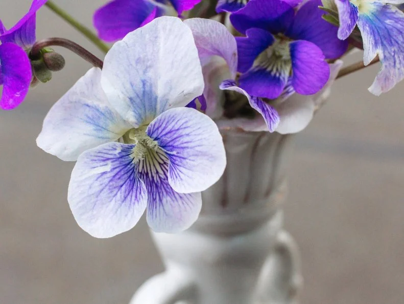 The 50 Official State Flowers In America | HGTV