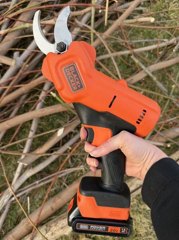 8 Best Electric Pruners Reviewed 2026 | HGTV